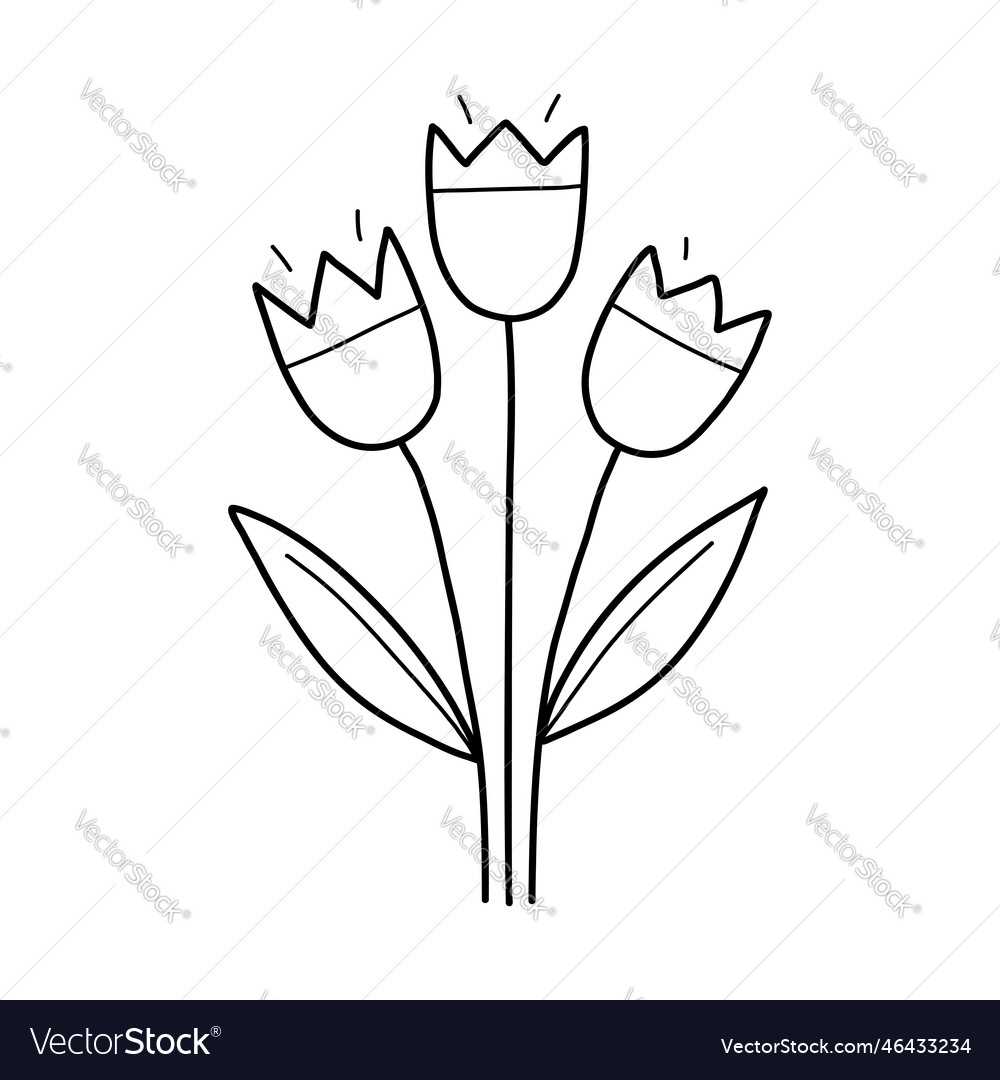 Tulip spring flower doodle Royalty Free Vector Image