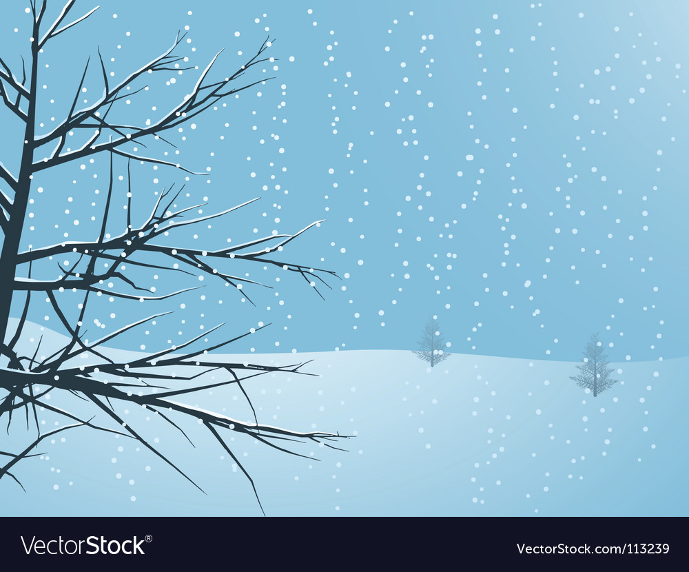 Snowy winter tree Royalty Free Vector Image - VectorStock