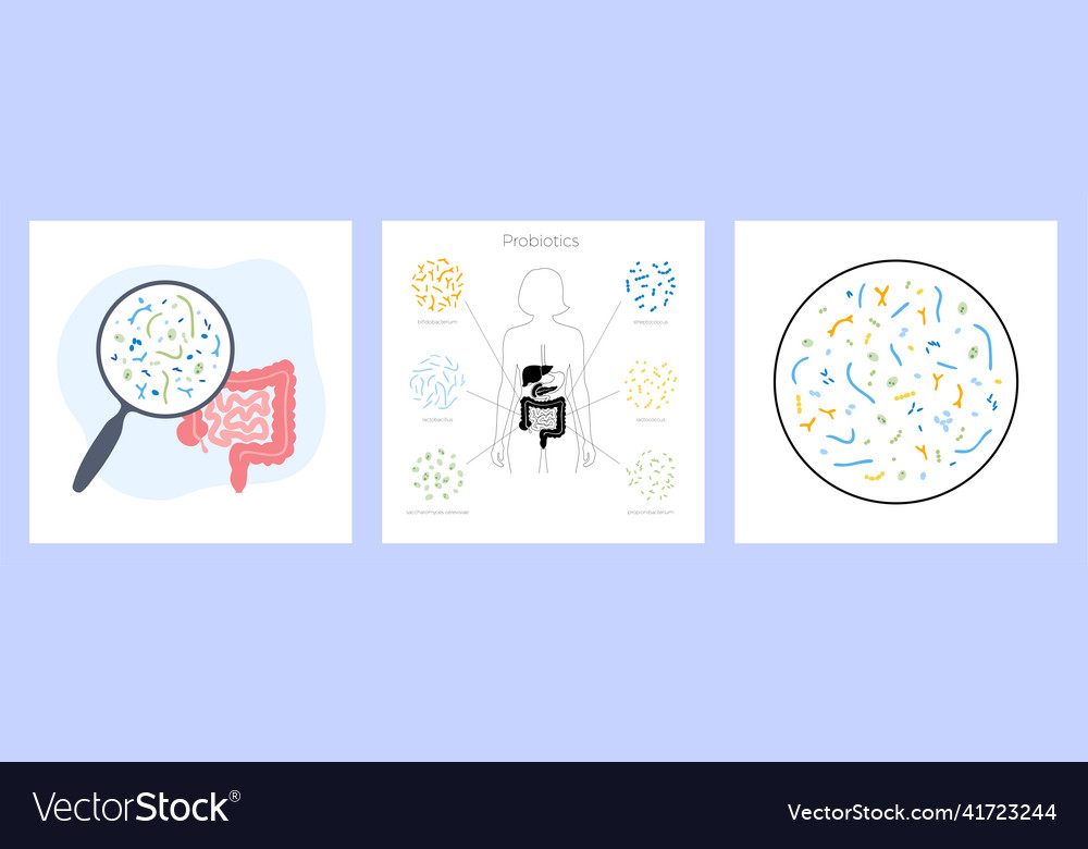Probiotics set concept Royalty Free Vector Image