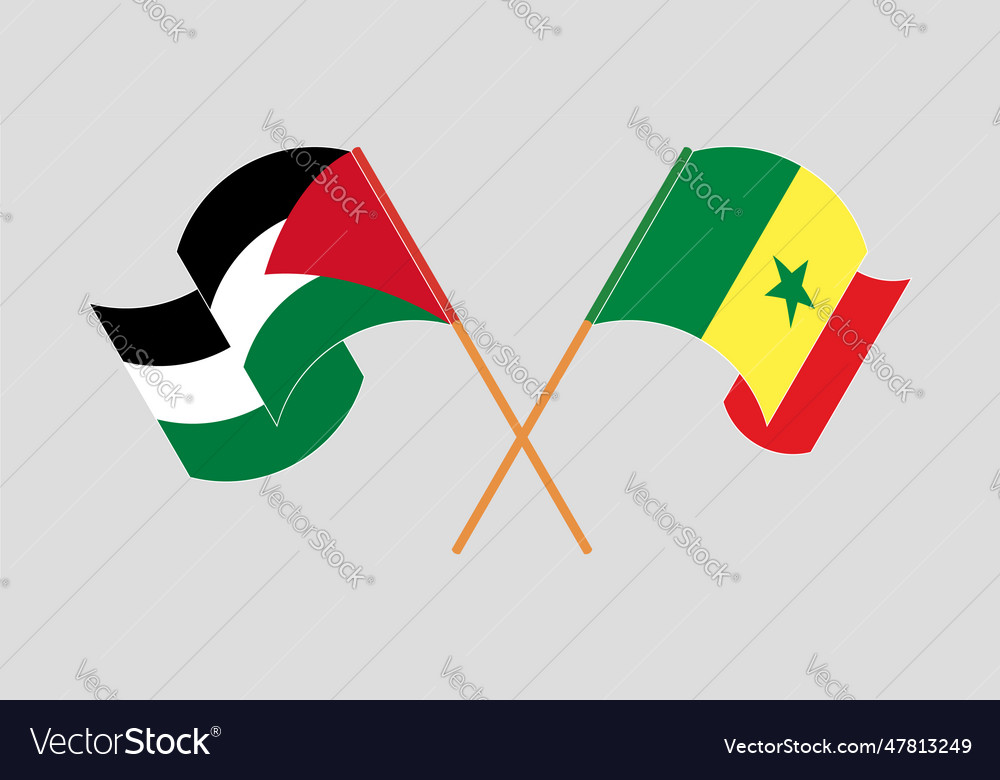 Crossed and waving flags of palestine senegal Vector Image