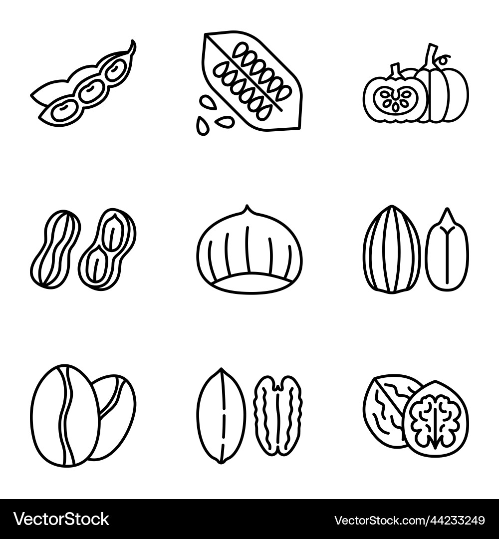 Nuts and seeds icon set pictogram isolated Vector Image