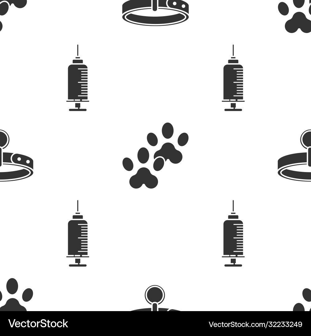 Set collar with name tag paw print and syringe Vector Image