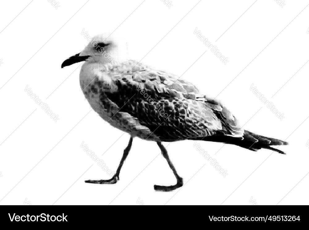 Halftone dotted seagull for trendy y2k retro Vector Image