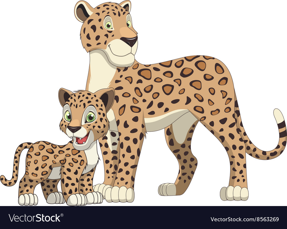Leopard with cub Royalty Free Vector Image - VectorStock