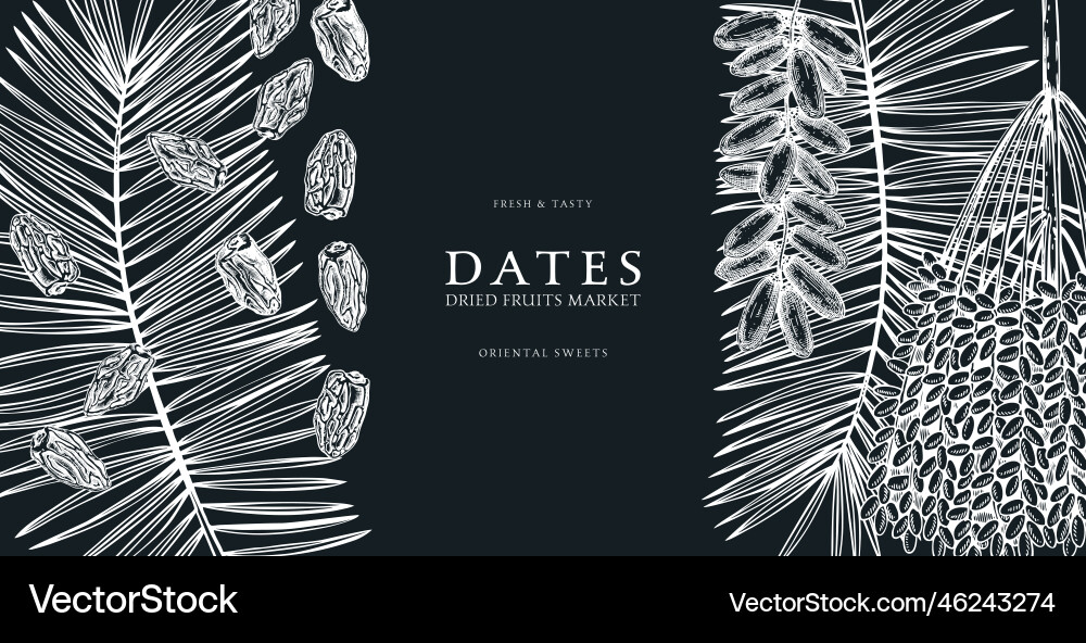 Hand drawn border design with date palm leaves Vector Image