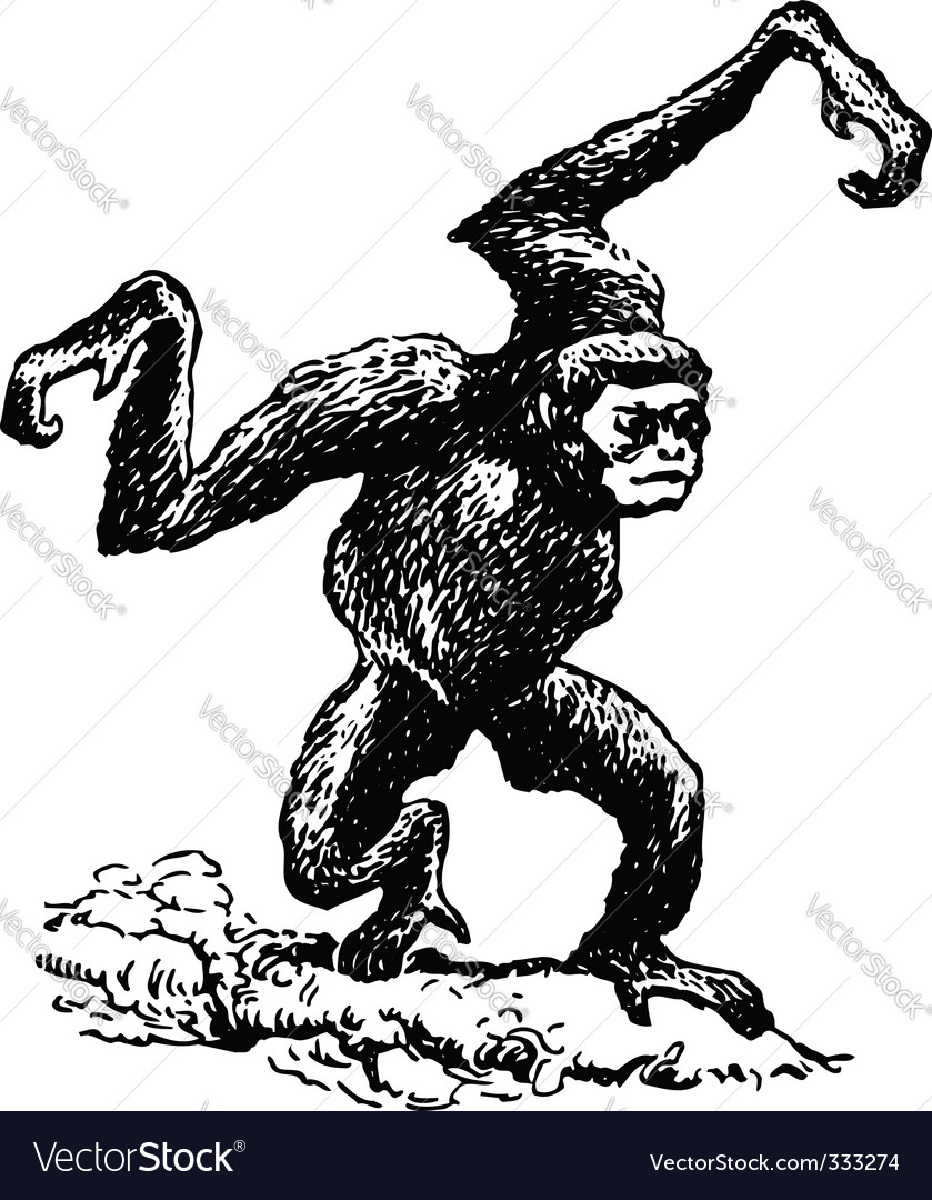 Monkey Royalty Free Vector Image - VectorStock