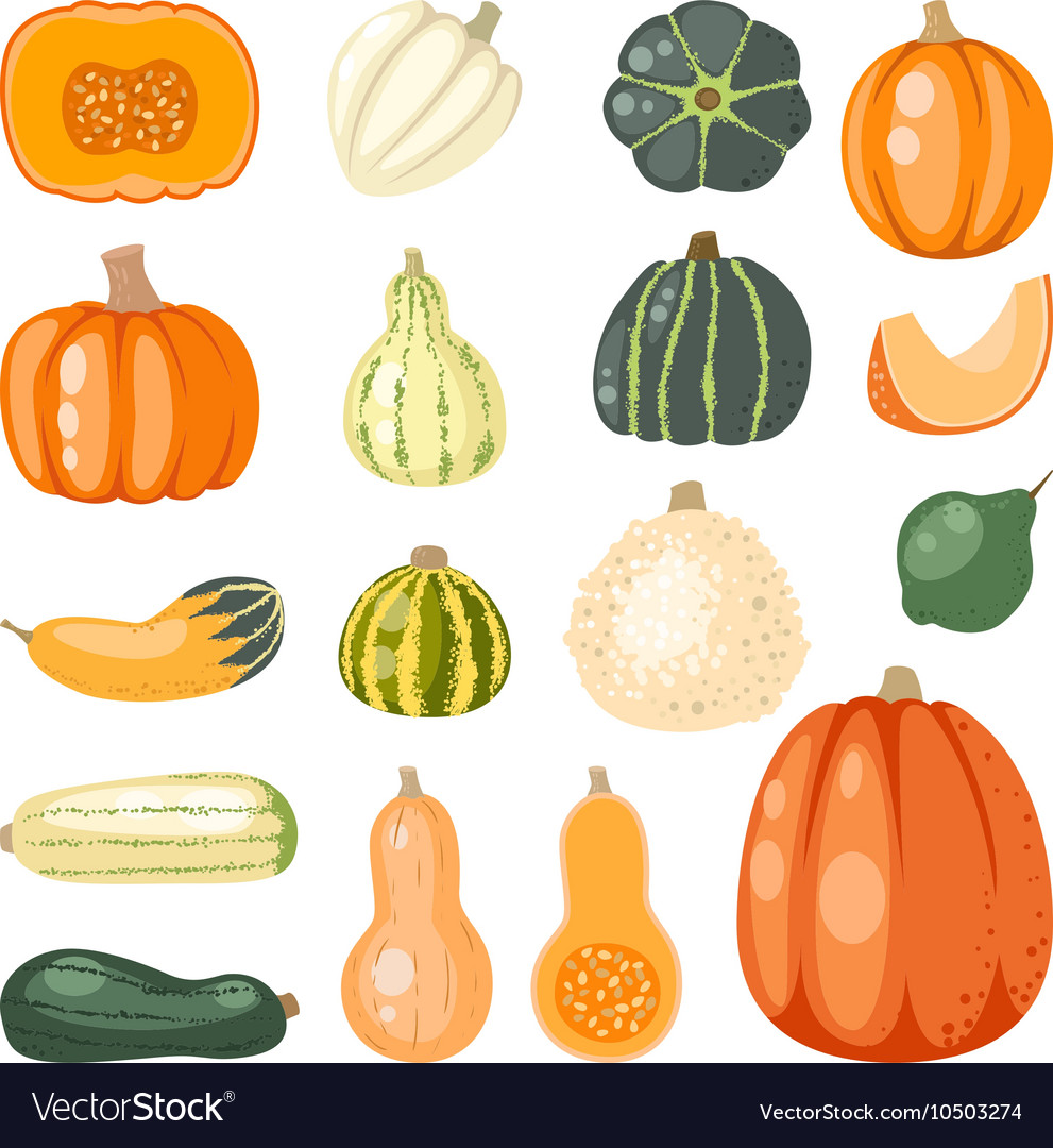 Pumpkin set Royalty Free Vector Image - VectorStock