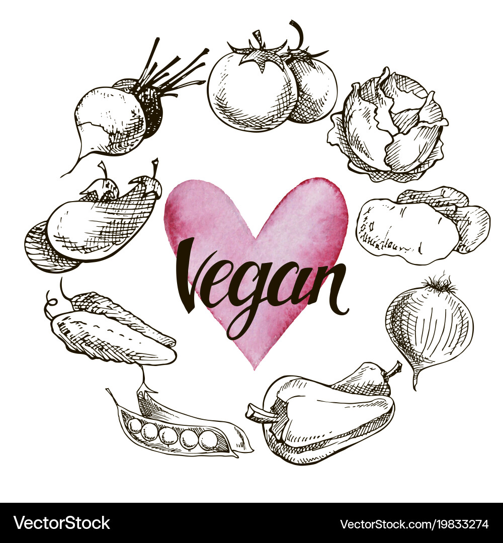 Vegan food concept hand drawn Royalty Free Vector Image