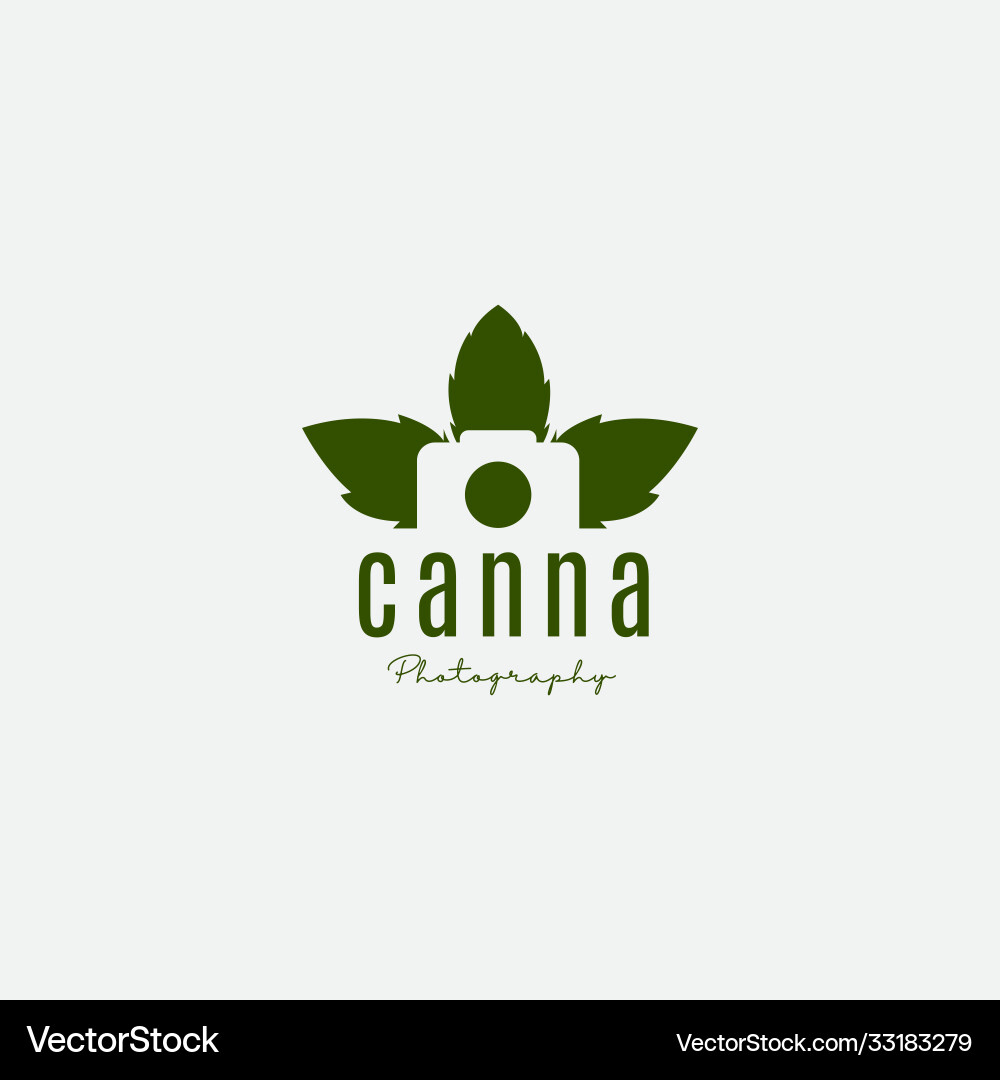 Camera in marijuana or cannabis icon Royalty Free Vector