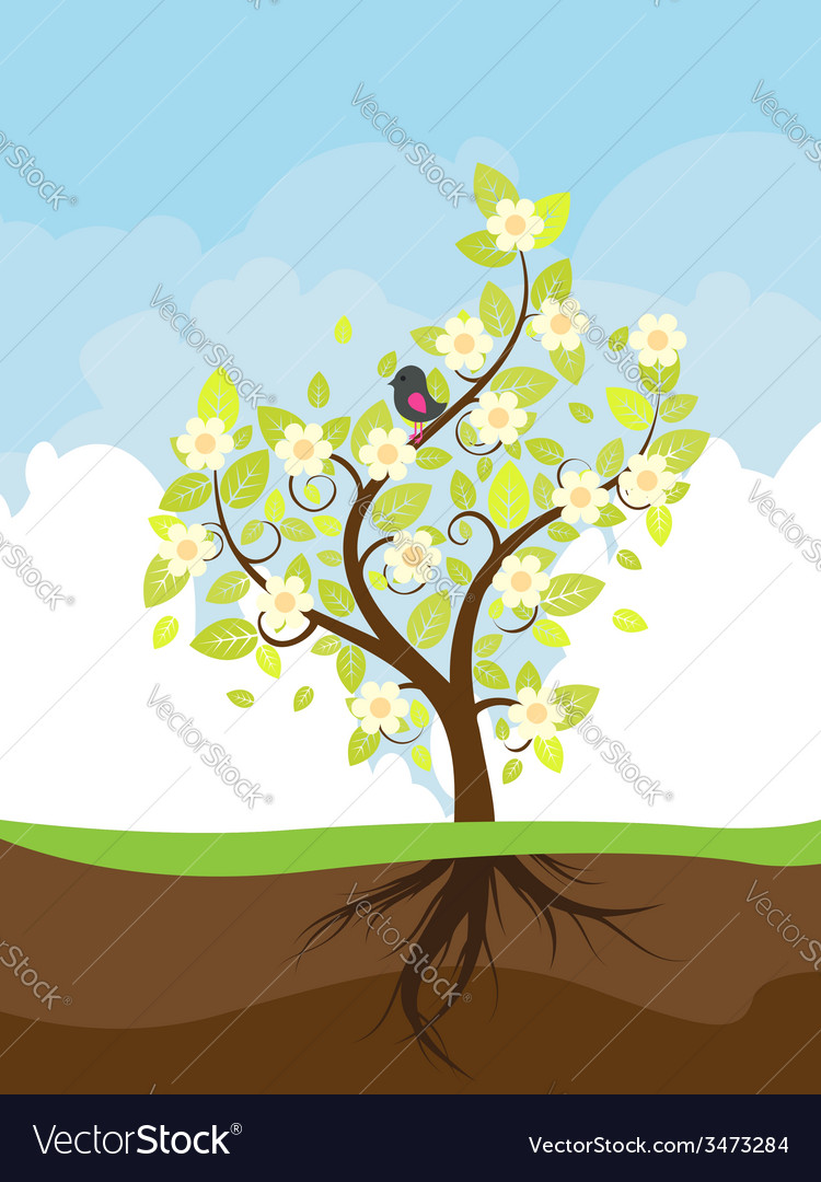 Stylized spring tree Royalty Free Vector Image
