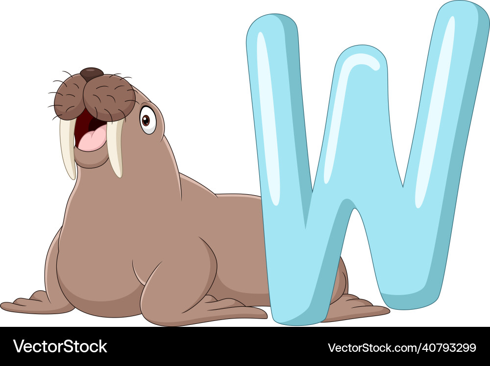 Alphabet letter w for walrus Royalty Free Vector Image