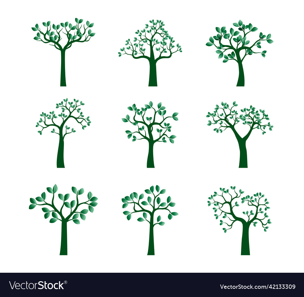 Green spring tree Royalty Free Vector Image - VectorStock