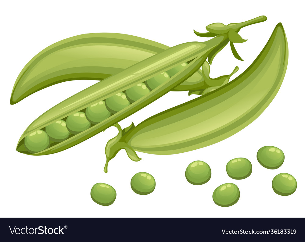 Green peas pods with leaves set Royalty Free Vector Image