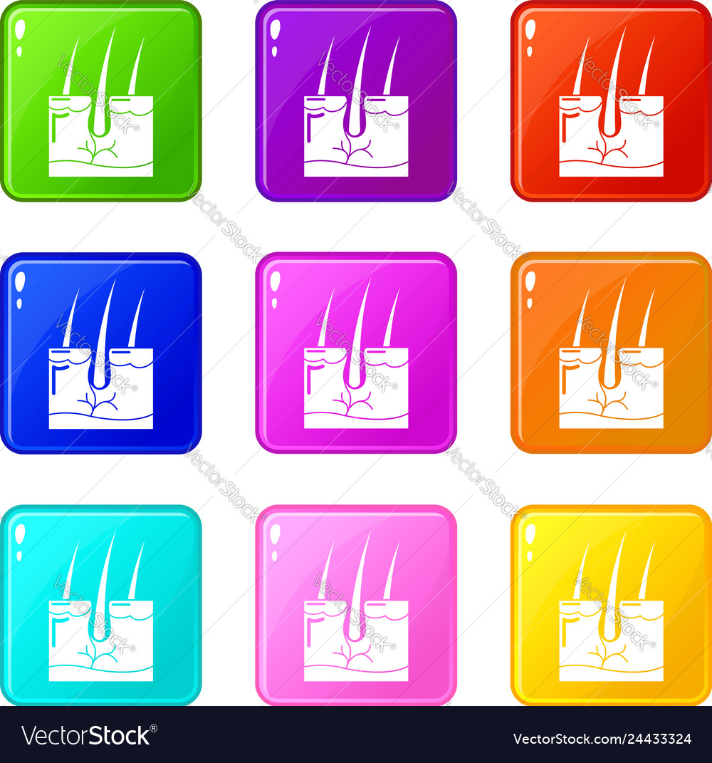 Hair skin icons set 9 color collection Royalty Free Vector Hair skin icons set 9 color collection Royalty Free Vector