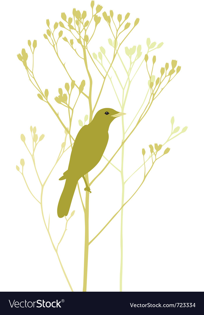 Bird is sitting in tree Royalty Free Vector Image