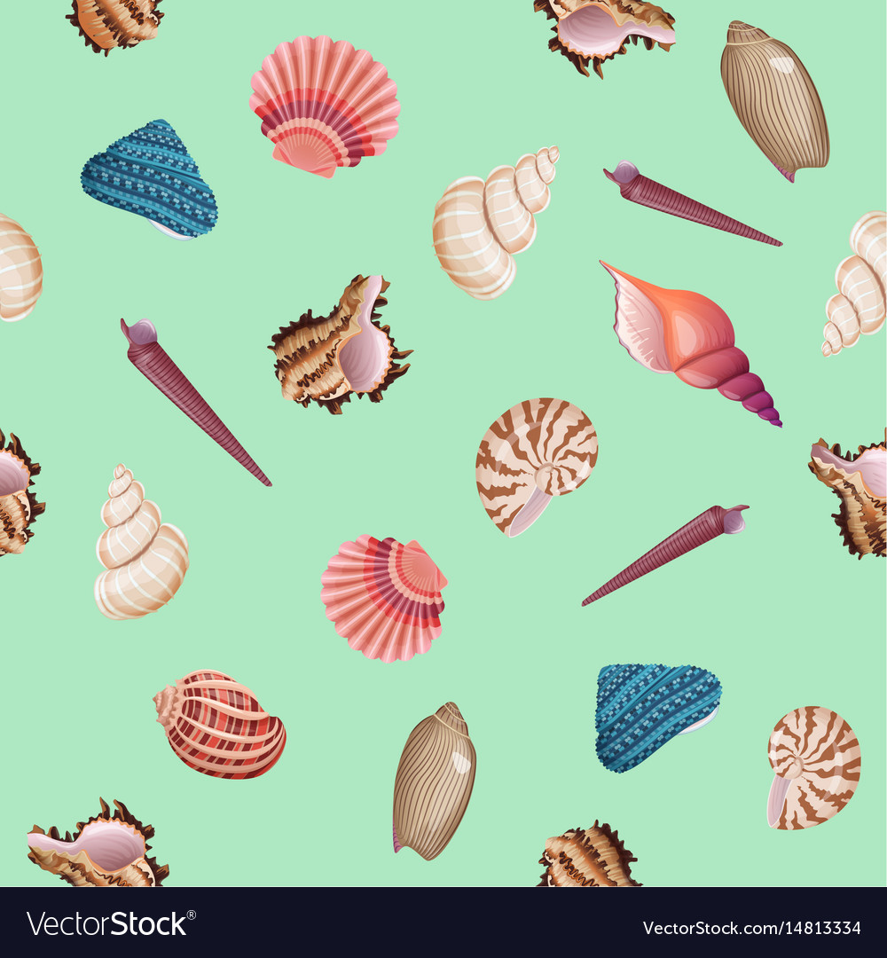 Seashells seamless pattern Royalty Free Vector Image