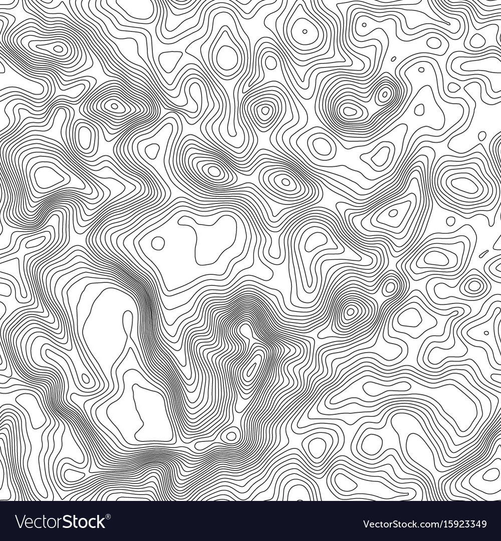 Seamless pattern topographic map background Vector Image
