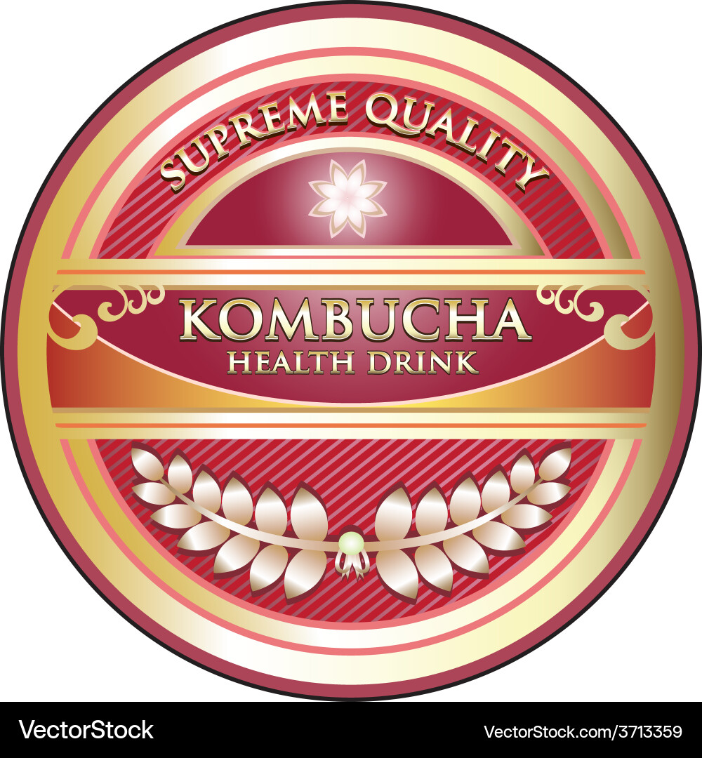 Kombucha Royalty Free Vector Image - VectorStock