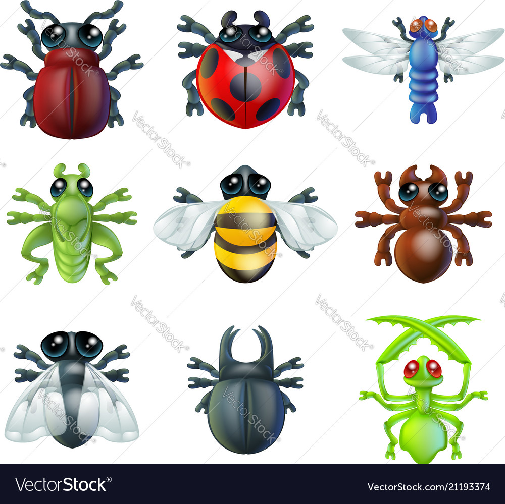 Insect bug icons Royalty Free Vector Image - VectorStock Insect bug icons Royalty Free Vector Image - VectorStock