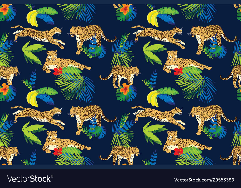 Leopard Royalty Free Vector Image - VectorStock