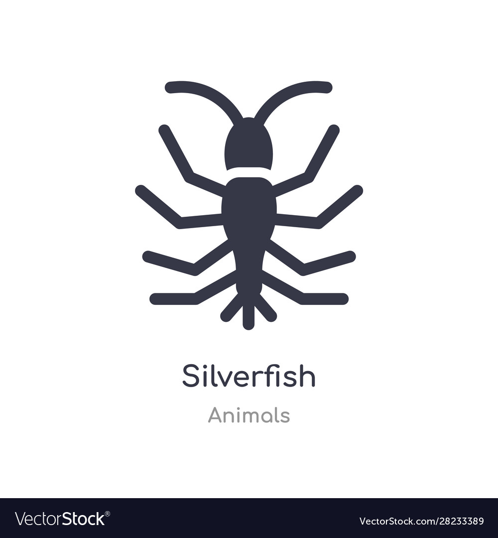 Silverfish icon isolated silverfish icon from Vector Image Silverfish icon isolated silverfish icon from Vector Image