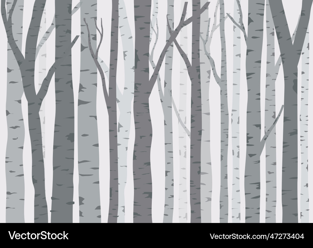 Birch trees seamless pattern Royalty Free Vector Image