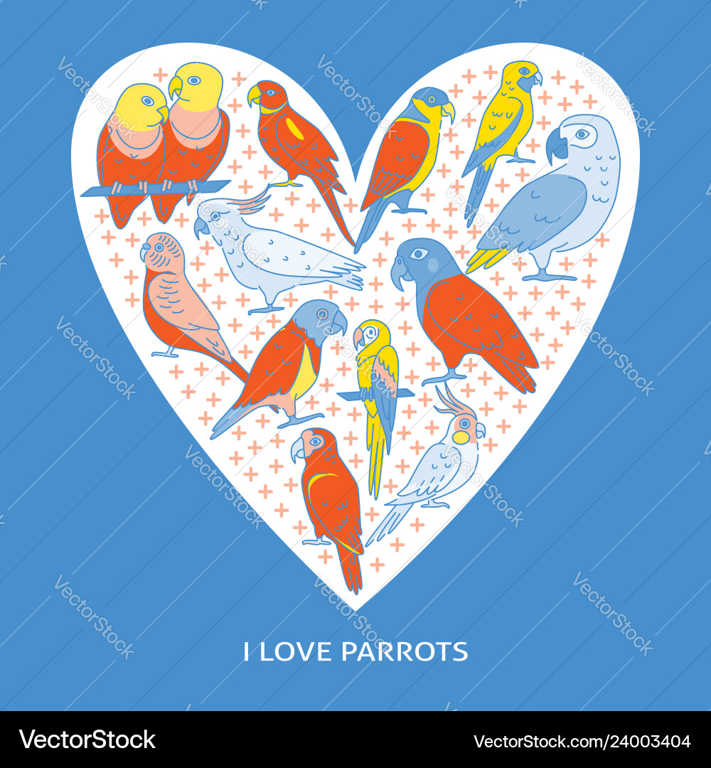 Tropical birds concept banner in line style Vector Image