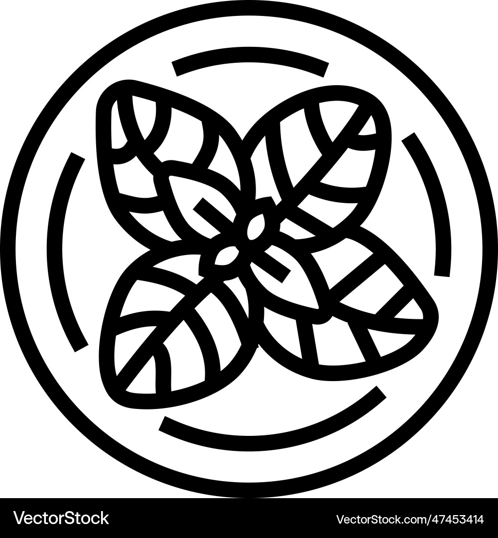 Basil cosmetic plant line icon Royalty Free Vector Image