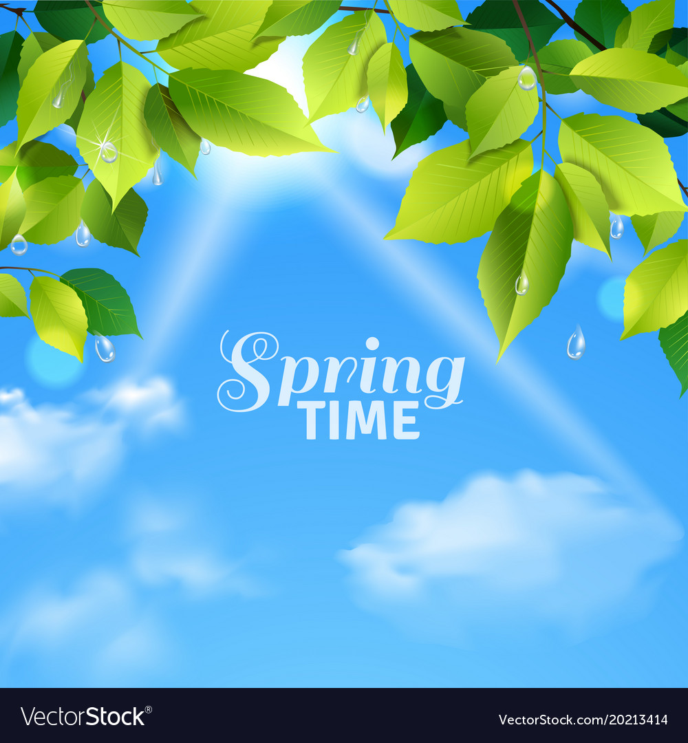 Spring time realistic poster Royalty Free Vector Image
