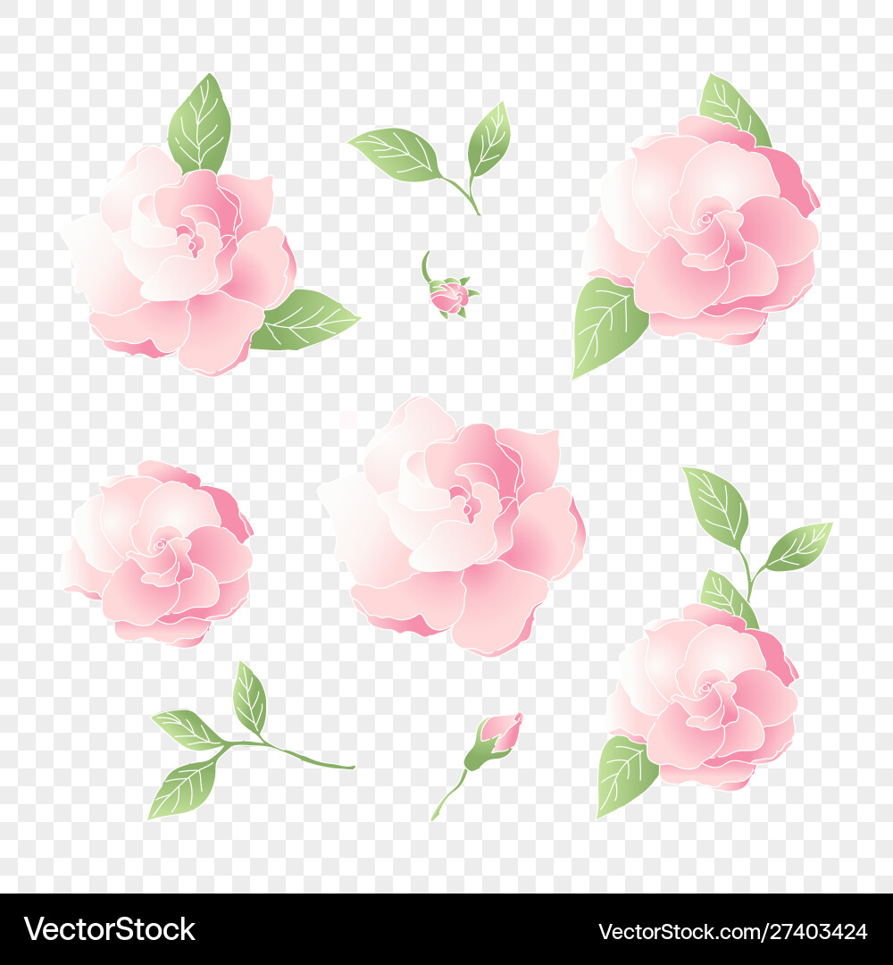 Set isolated pink flower for wedding Royalty Free Vector