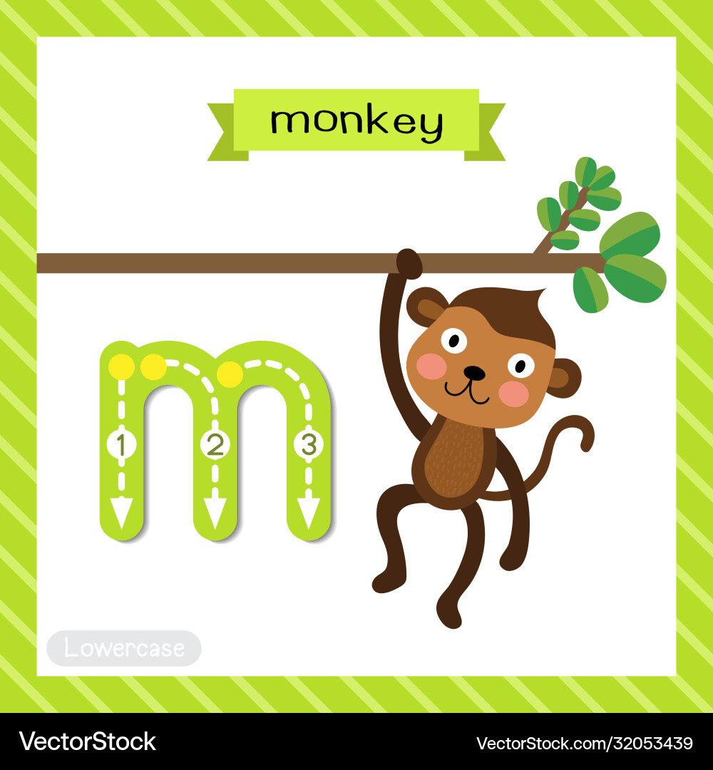 Letter m lowercase tracing cute monkey Royalty Free Vector