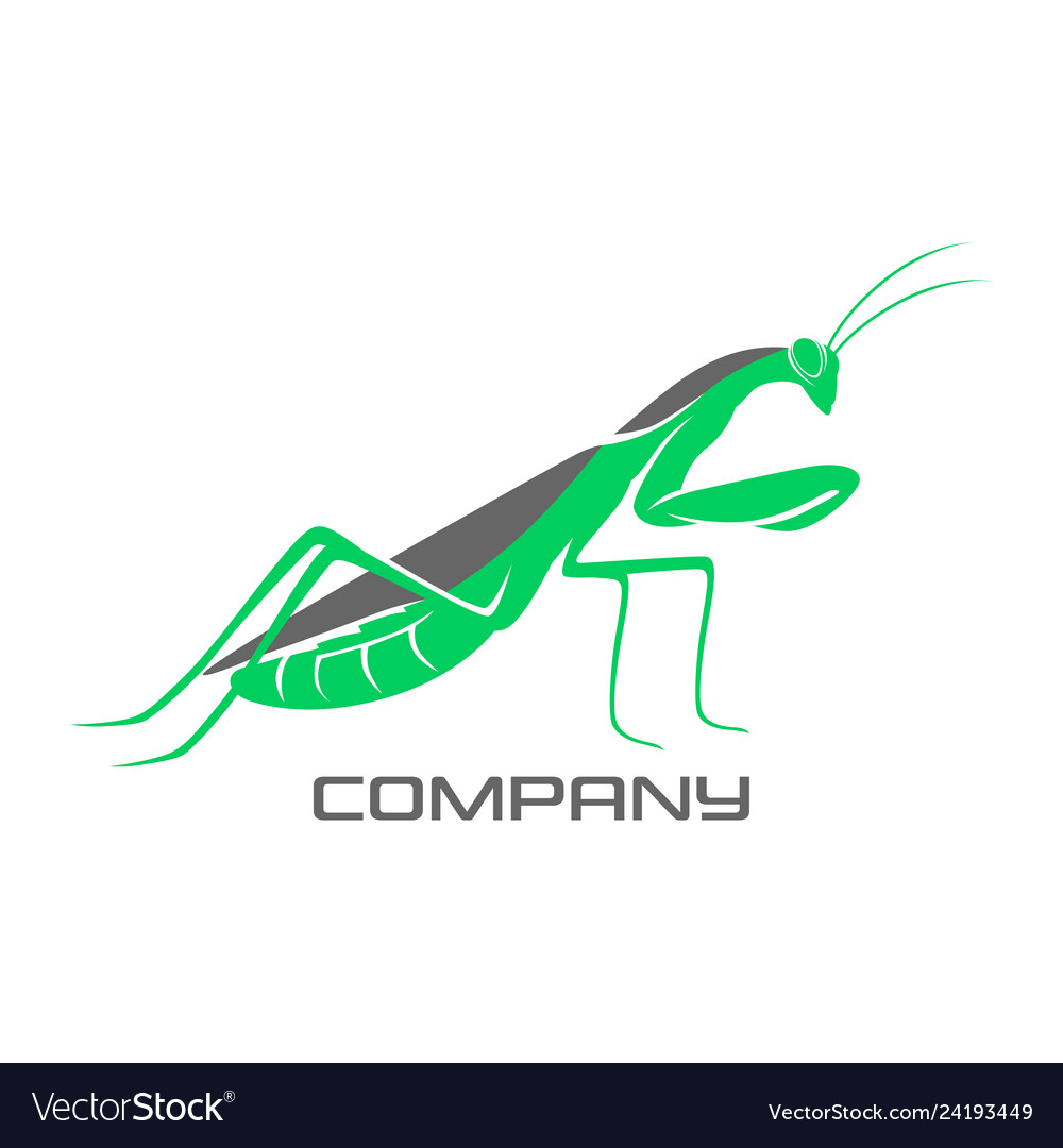 Modern mantis logo Royalty Free Vector Image - VectorStock