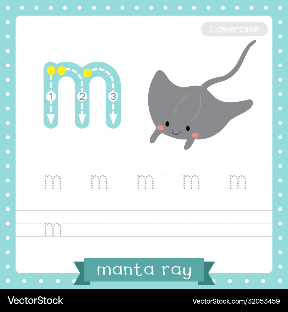 Letter m lowercase tracing practice worksheet Vector Image