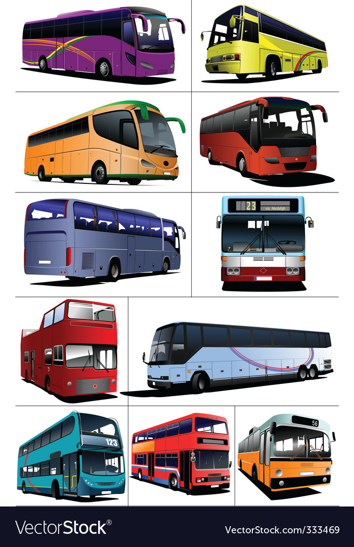 Buses Royalty Free Vector Image - VectorStock