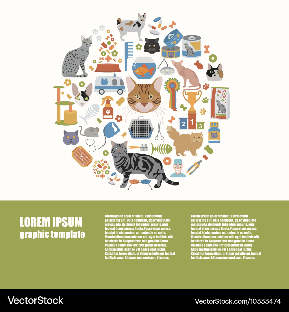Cat characters and vet care icon set flat style Vector Image