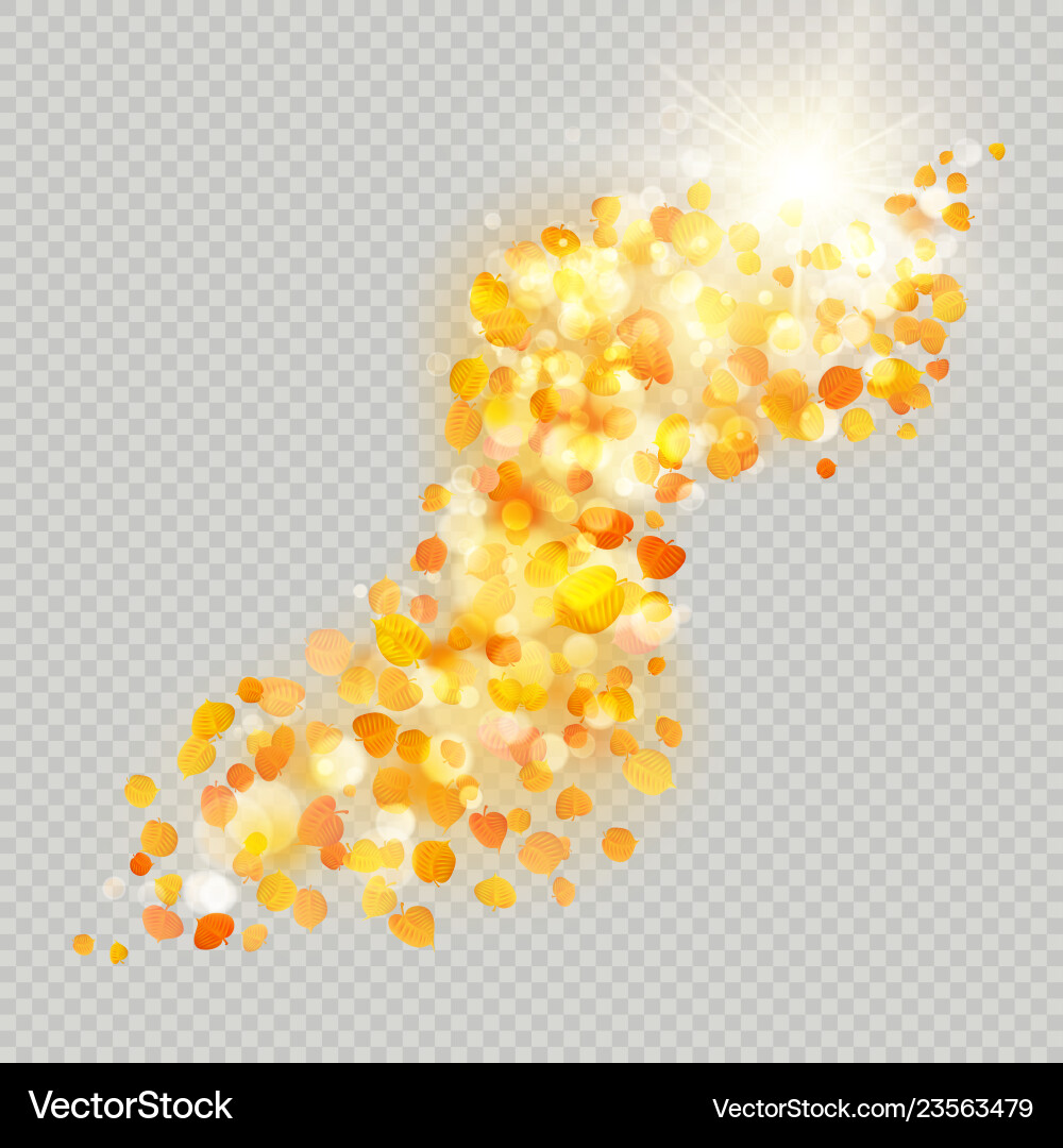 Fall maple leaves with delicate sun for decoration