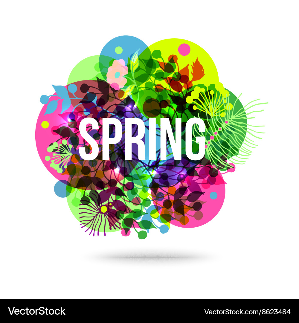 Colorful abstract flower background spring floral Vector Image