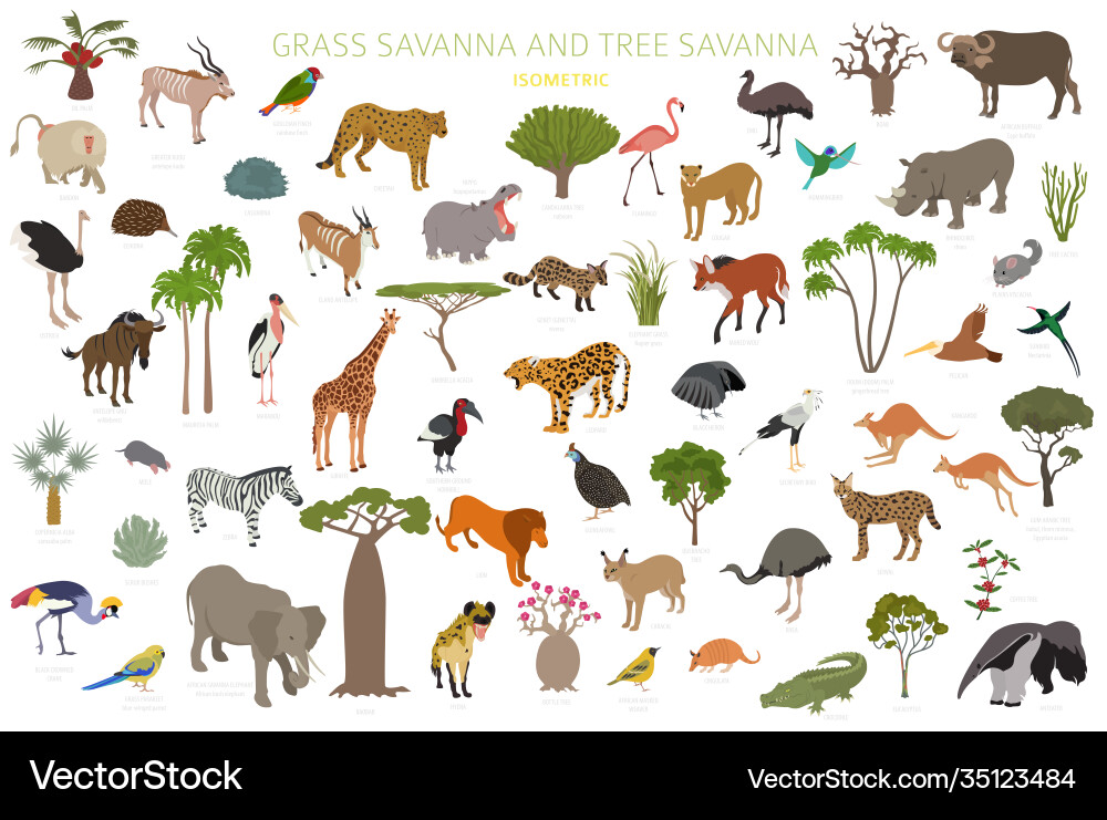 Tree savanna and grass biome natural Royalty Free Vector