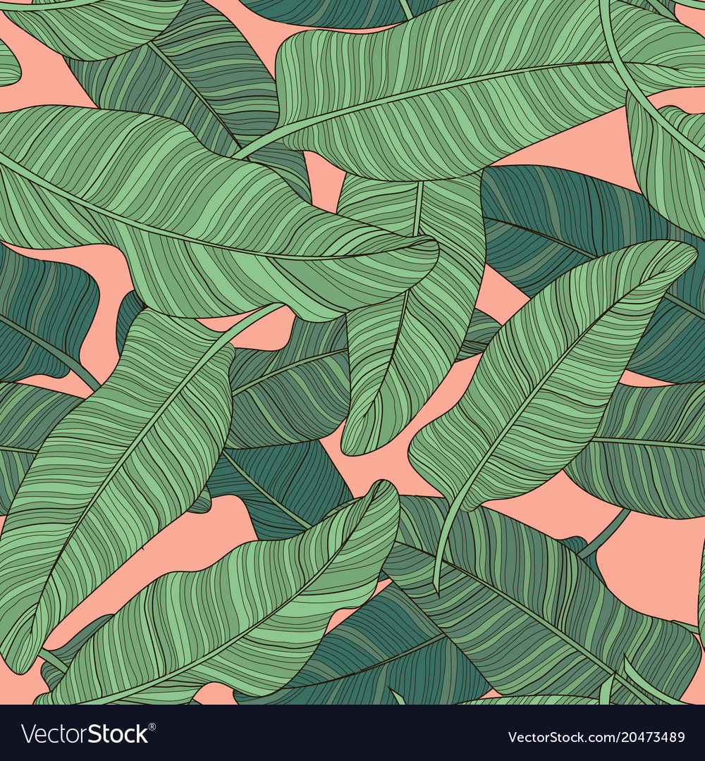 Composition Of Green Palm Banana Leaf Pattern Vector Image