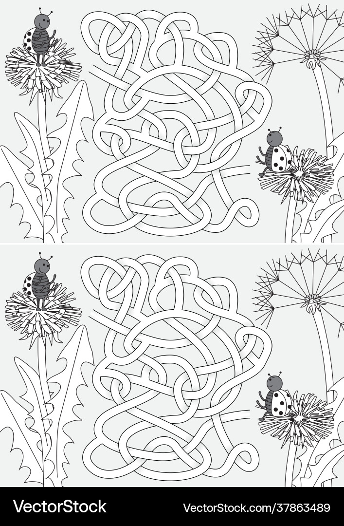 Ladybug maze Royalty Free Vector Image - VectorStock