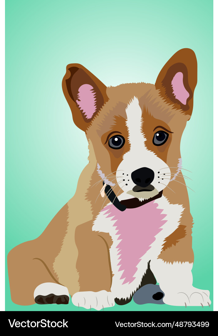 Image of basenji puppy Royalty Free Vector Image