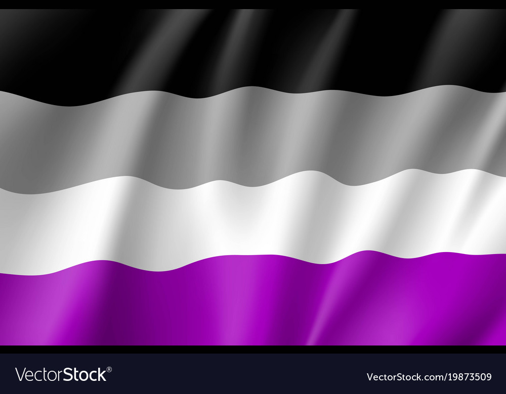 International Asexual Flag Royalty Free Vector Image