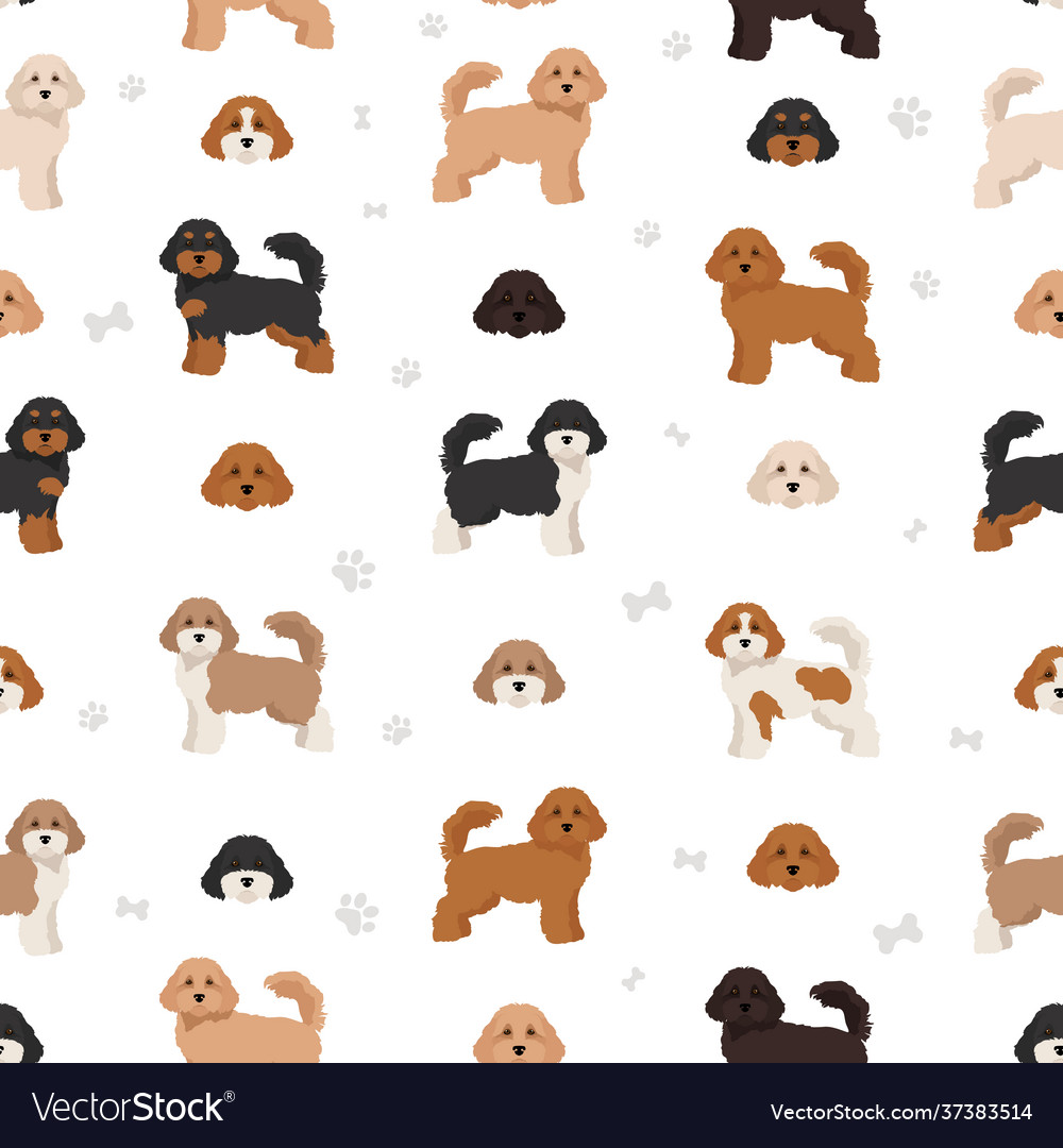 Cavapoo mix breed seamless pattern different Vector Image