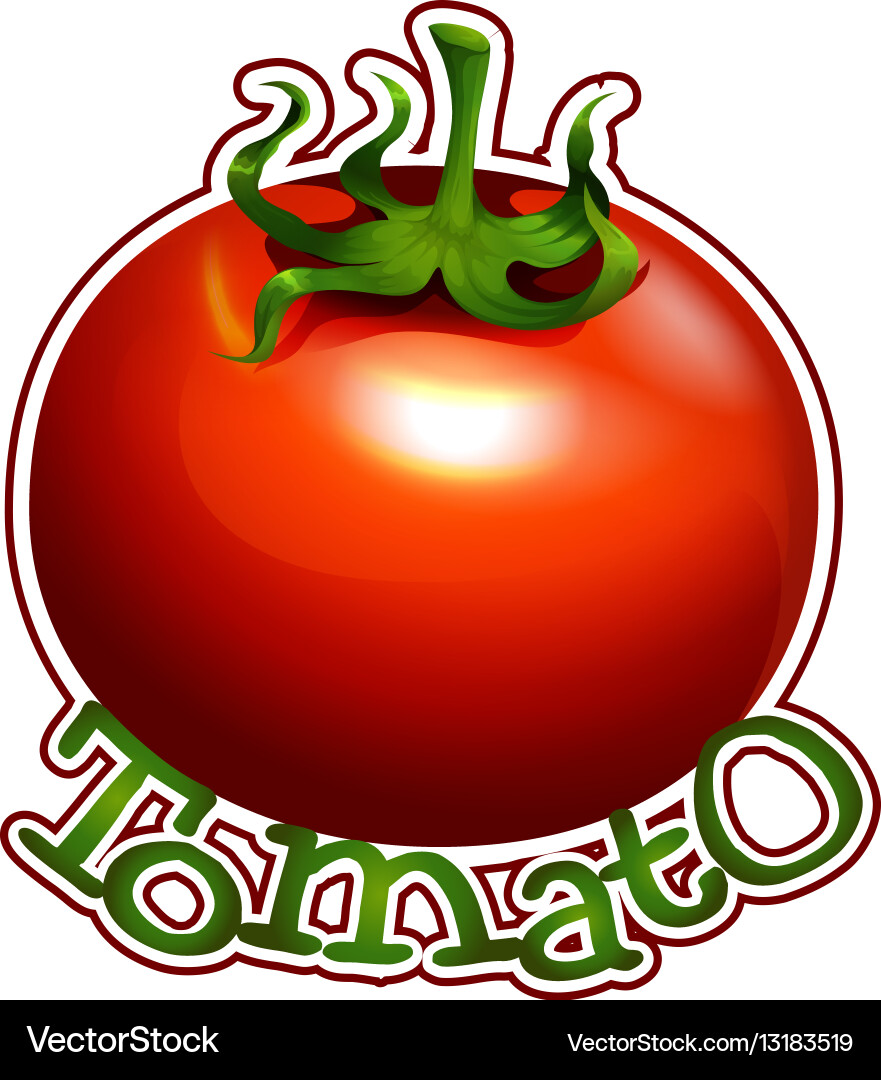 Font design with fresh tomato Royalty Free Vector Image