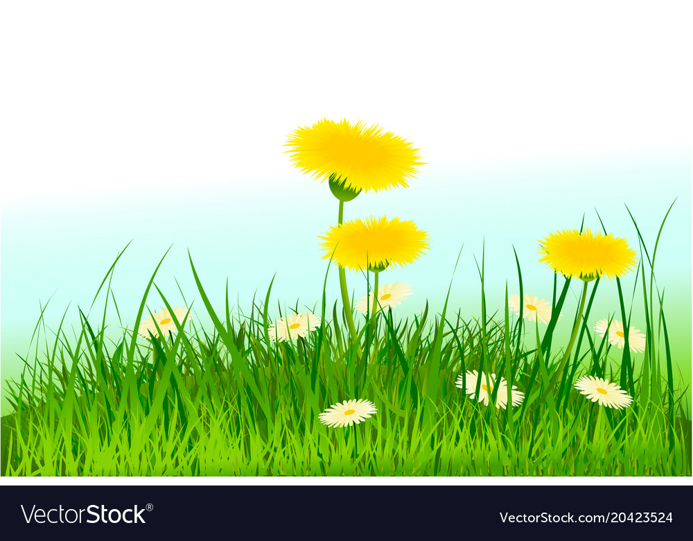 Spring meadow Royalty Free Vector Image - VectorStock