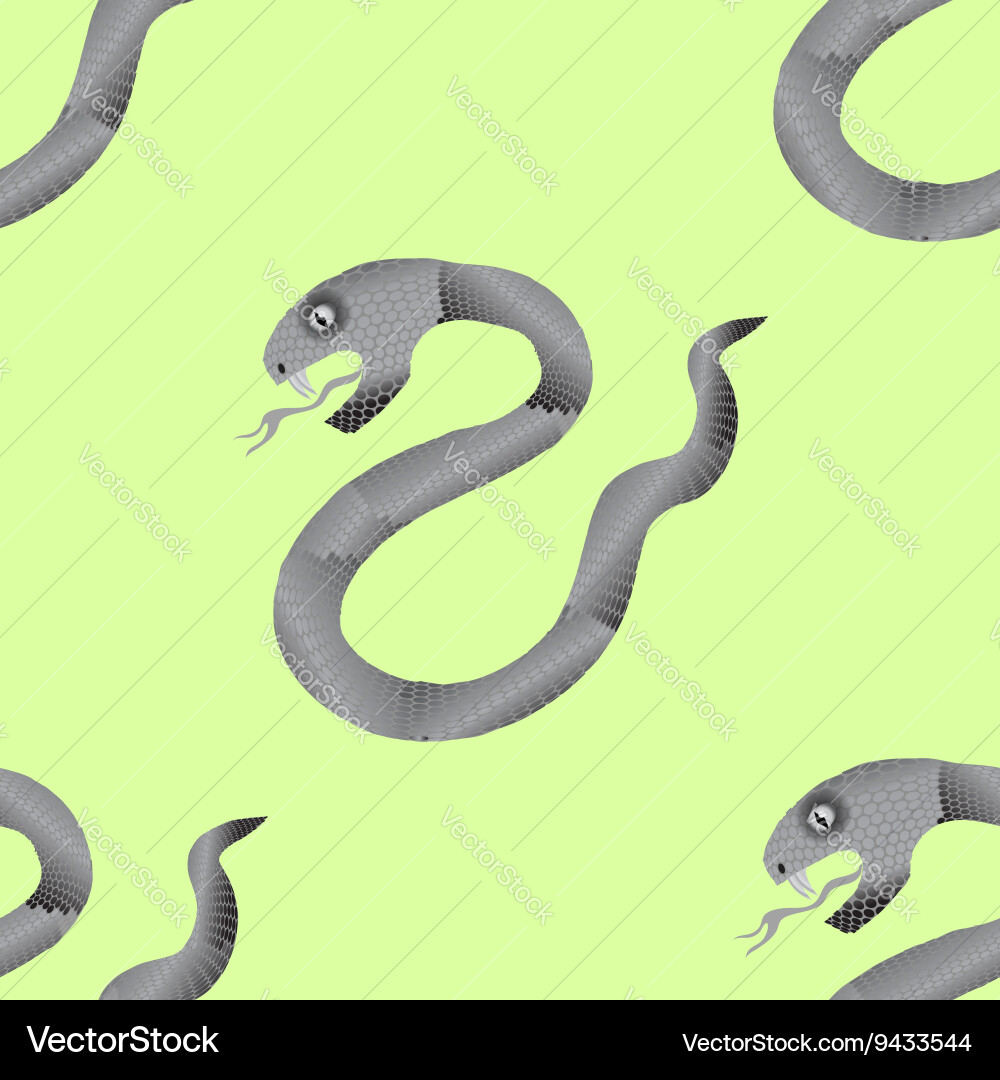 Grey snake seamless background animal pattern Vector Image