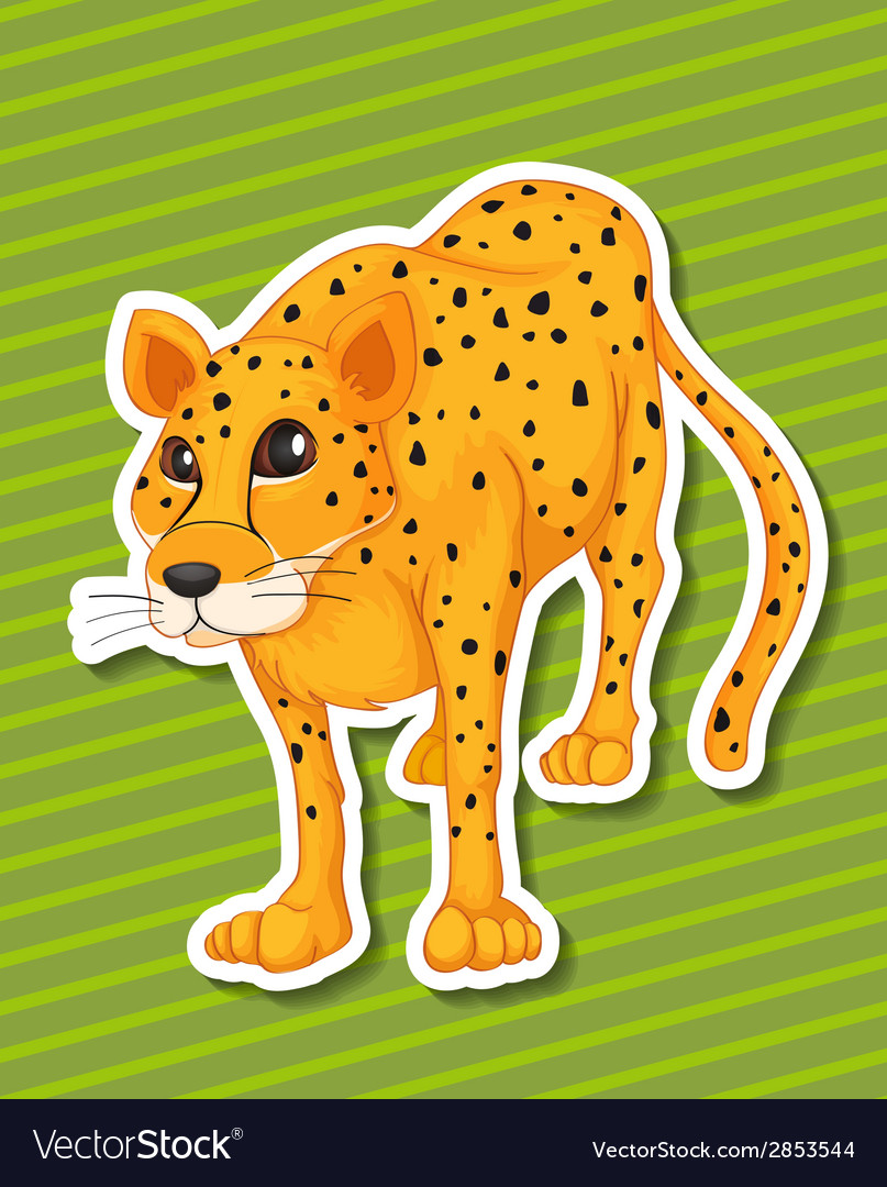 Leopard Royalty Free Vector Image - VectorStock