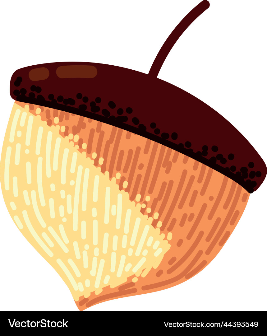 Acorn nut icon Royalty Free Vector Image - VectorStock