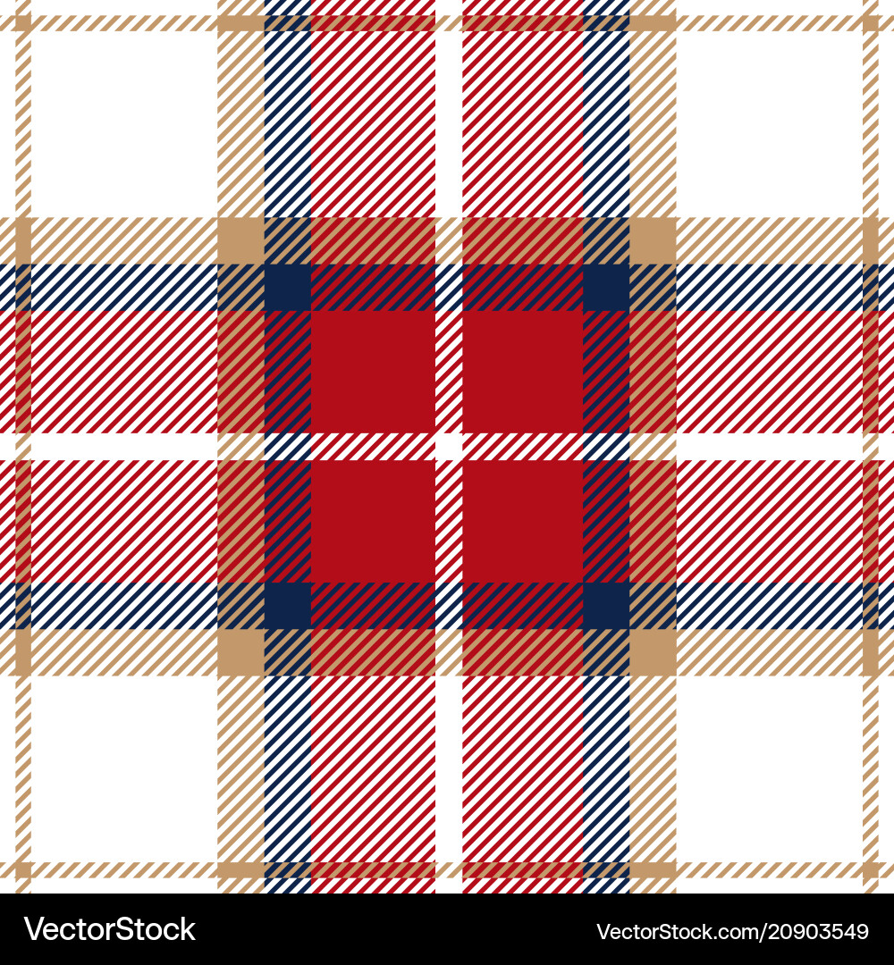 Red and blue tartan plaid seamless pattern Vector Image