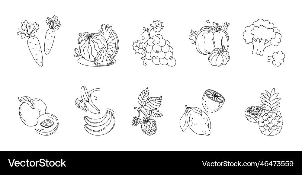Fruits and berries doodle set black and white Vector Image